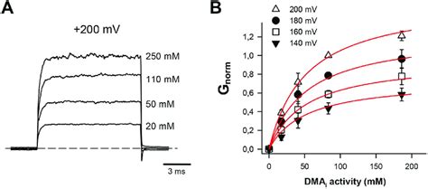 Currents Activated By 1 Mm Cgmp In The Presence Of Different Voltage
