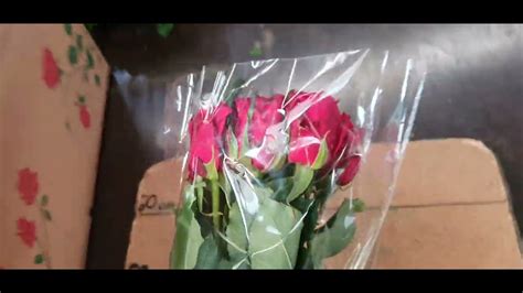 크래용 생화 인터넷꽃도매시장 생화택배 생화도매 인터넷꽃시장 인터넷꽃도매 장미대량구매 꽃 꽃다발 꽃도매 꽃시장 부산꽃시장 김해꽃시장 꽃쇼핑몰 김해꽃 부산꽃 꽃싸게사는법