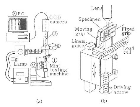 Figure 2 From Crack Growth In Pmma With A Very Little Content Of Short Glass Fiber Observation