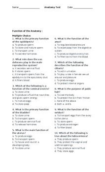 Anatomy Test Sexual Education By Luna And Carly TPT