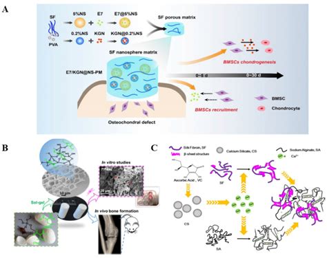 Sf Structure And Sf Based Materials Download Scientific Diagram