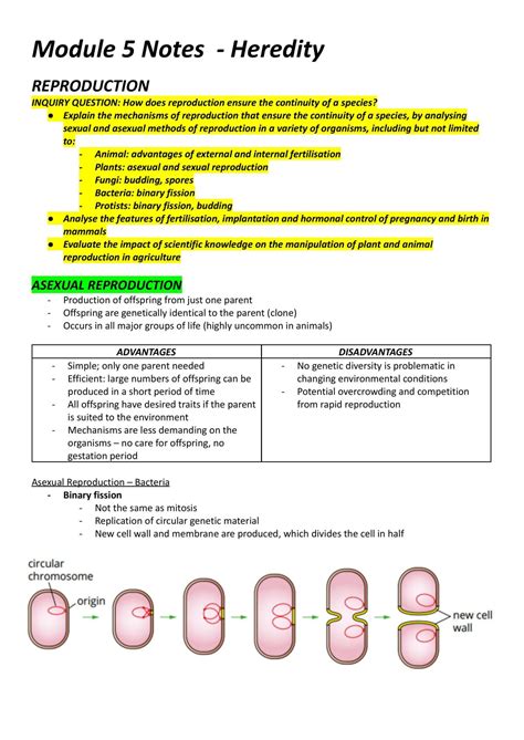 Module 5 Notes Biology Year 11 Hsc Thinkswap