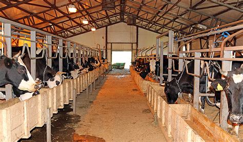 Стать фермером Как открыть фермерское хозяйство КФХ в Московской области