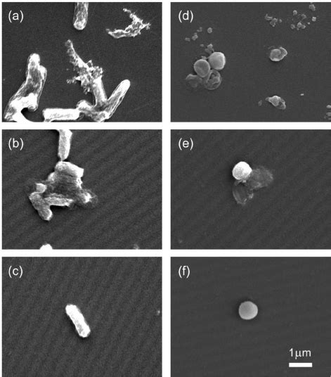 Killing E Ffi Ciency Of Surfaces Against A E Coli And B S