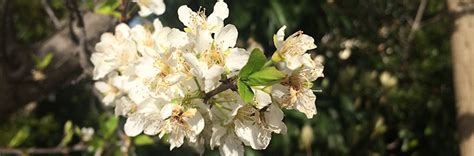 Sexual Values Generativity Dr Eric FitzMedrud