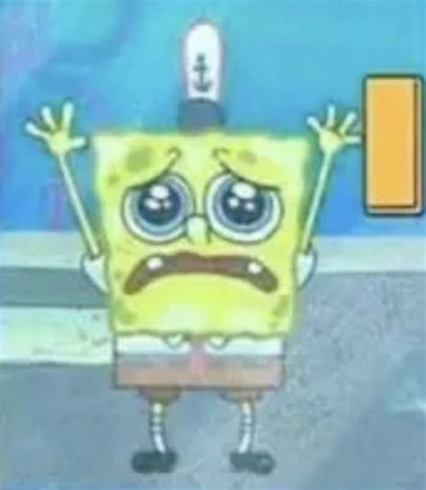 Spongebob Pfp Spongebob Funny