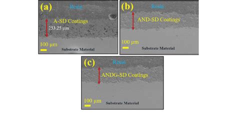 Fesem Images Cross Sectional Surfaces Of A A Sd B And Sd C