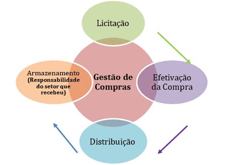 Gestão de compras em saúde no município de Santo Antônio de Pádua/RJ