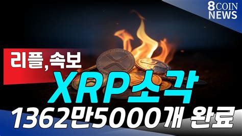 리플 소각단행 Youtube