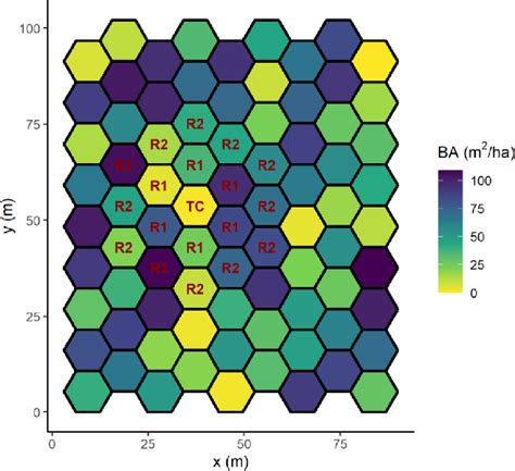 Spatial Distribution Of Basal Area Ba On A Simulation Grid Made Up Of Download Scientific