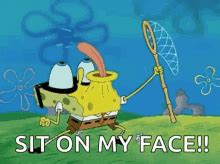 Sex Memes GIFs Tenor