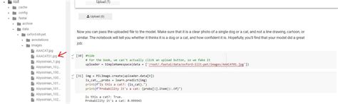 issue in 01 intro colab page 2 part 1 2020 fast ai course forums
