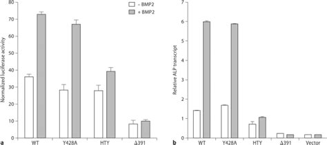 Specific Residues Of Runx2 Are Obligatory For Formation Of Bmp2 Induced