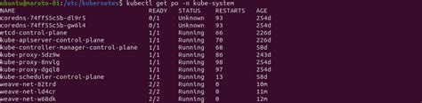 atualizando cni kubernetes viajando no código