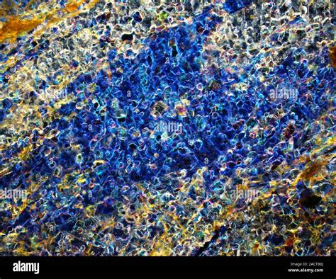 Polarised Light Micrograph Of A Thin Section Microscopic Slide Of The Meteorite Nwa 6435 Nwa
