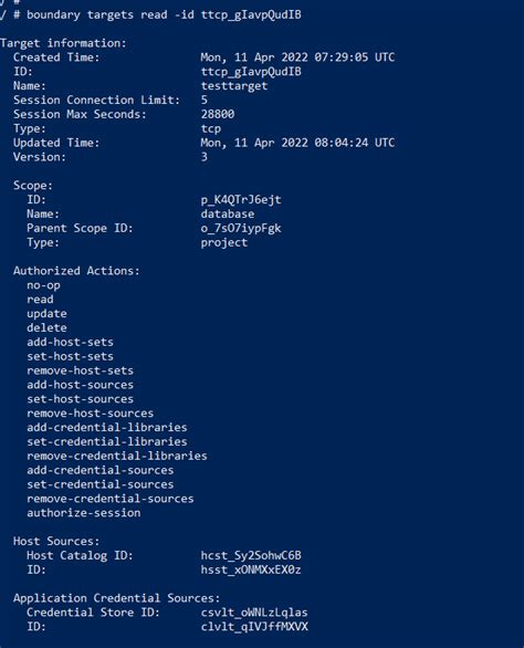 Dynamic Discovery Of Aws Rds Databases Using Boundary Host Boundary Hashicorp Discuss