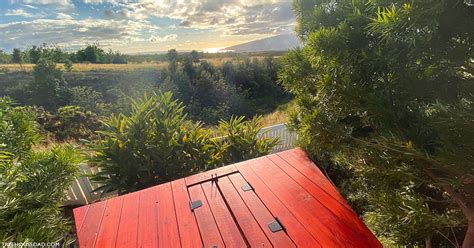 Treehouse Dad How To Build A Treehouse In 2025