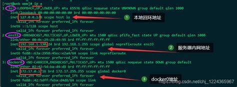 十四 docker0网络详解 csdn博客