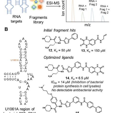 dynamic combinatorial chemistry dcc to define building blocks that