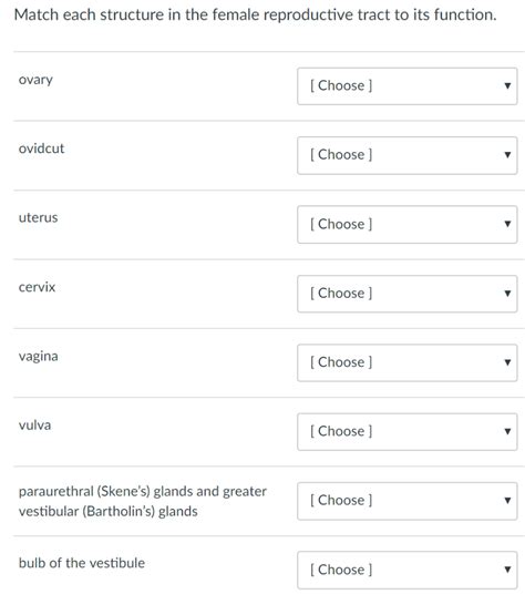 Solved Match Each Structure In The Female Reproductive Tract Chegg Com