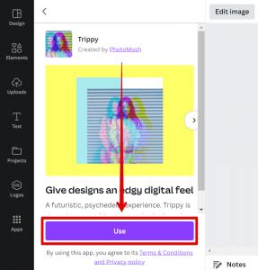 How Do I Trace An Image In Canva WebsiteBuilderInsider Com
