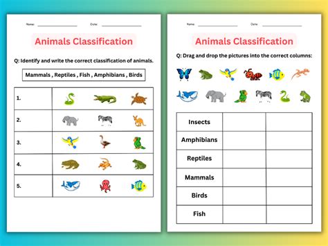 Printable Classification Of Animals Worksheet For Grade 1 2 3