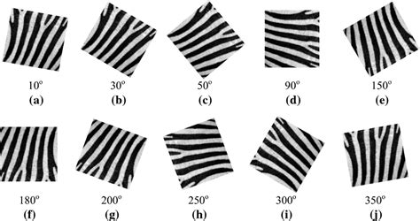 Rotated Versions Of Original Fig 24 Download Scientific Diagram
