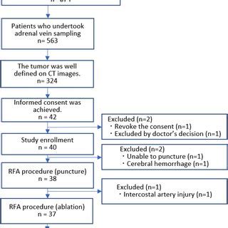Flow Charts Results Of RF Procedure At 84 Days Download Scientific Diagram
