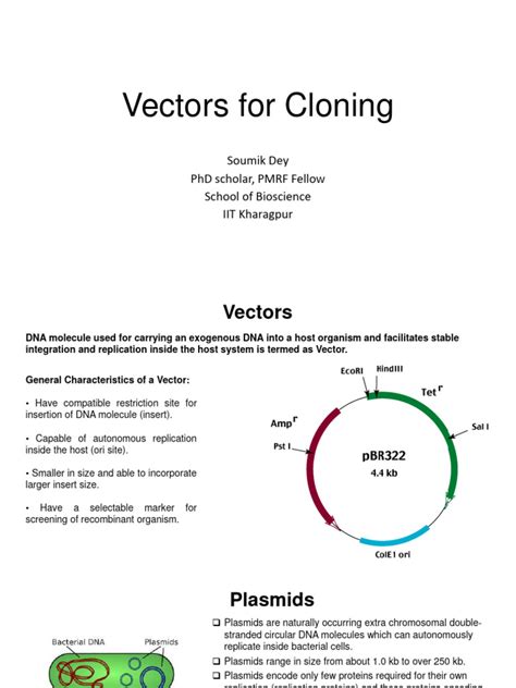 Lecture 6 Vectors Pdf Vector Molecular Biology Plasmid