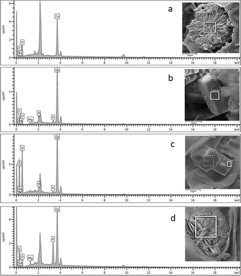 Sem Image And Eds Spectra Of The Druse A Rectangular Prism B