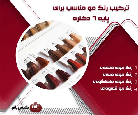 پایه 6 دکلره چه رنگی است؟ ترکیب رنگ موی آن