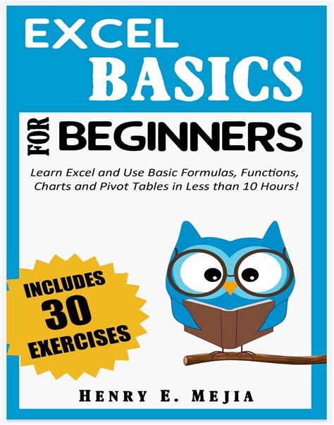 excel basics for beginners learn excel and use basic formulas functions charts and pivot