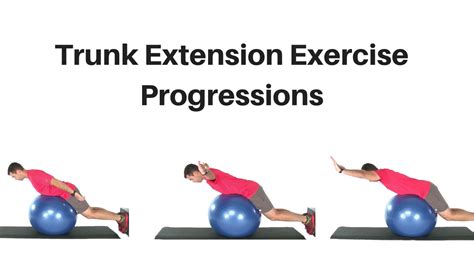 Trunk Extension Exercise Progressions My Rehab Connection