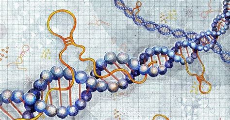 Modern Science Refutes The Evolutionary Theory Unexpected But Exquisite Specificity Observed