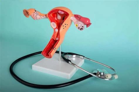 What Is Interventional Radiology A Quick Overview London Interventional Radiology