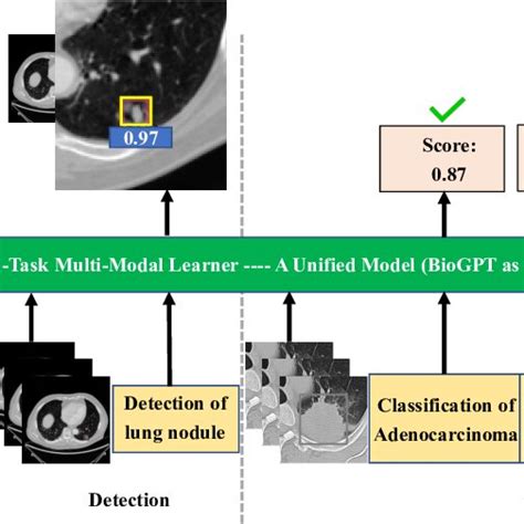 task specific decoders for a classification b semantic
