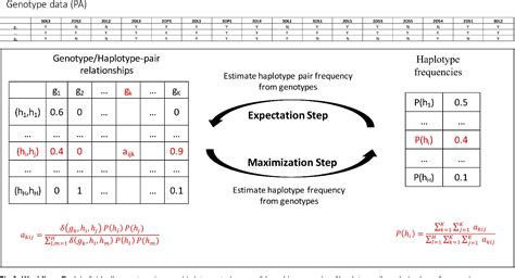 Figure 3 From Estimating Kir Haplotype Frequencies On A Cohort Of 10 000 Individuals A