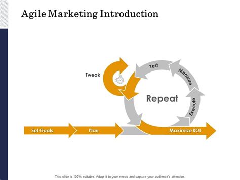 Agile Marketing Introduction Plan Ppt Powerpoint Presentation Styles File Presentation