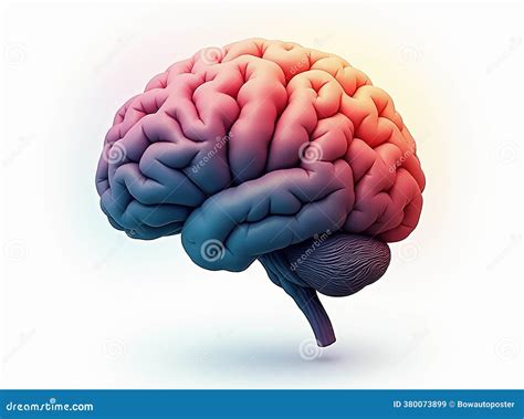 Behaviorism Learning Theory Educational Psychology Vector Infographic