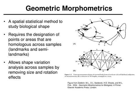 PPT Novel Use Of GIS For Spatial Analysis Of Fingerprint Patterns PowerPoint Presentation ID