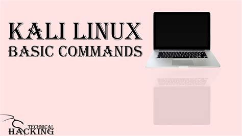 Kali Linux Basic Commands Youtube
