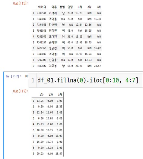 Python 데이터 정규화와 결측치 데이터 처리