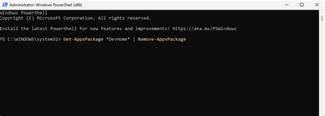 What Is Hotkey For Dev Home Project Ironsides Should I Remove It