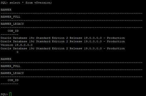 command to confirm we can connect to the database and pull data sqlplus