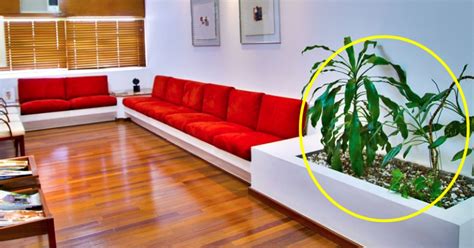 거실에 이것 두면 재물운 다 나갑니다 절대 두지 마세요 어썸클