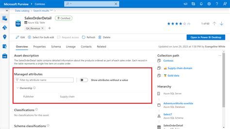 经典microsoft purview 数据映射中的托管属性 microsoft learn