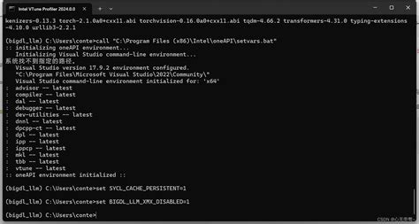 Bigdl Llm 安装指南——在igpu集成显卡下使用bigdl Llm大模型库加速llm Csdn博客