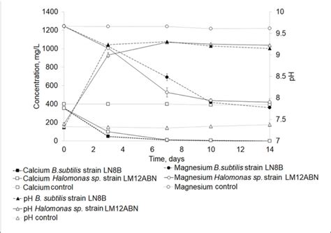 Figure 4 From Bioprospecting Of Ureolytic Bacteria From Laguna Salada