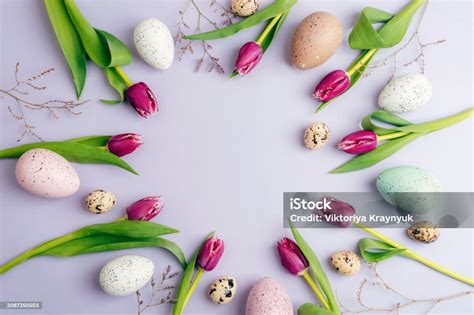 부활절 달걀 파스텔 라일락 배경에 튤립 꽃이 있는 원형 레이아웃 평면도 플랫 레이 복사 공간 3월에 대한 스톡 사진 및 기타 이미지 Istock