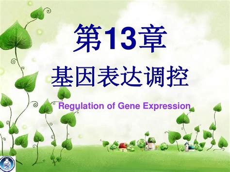 第13章基因表达调控 word文档在线阅读与下载 无忧文档